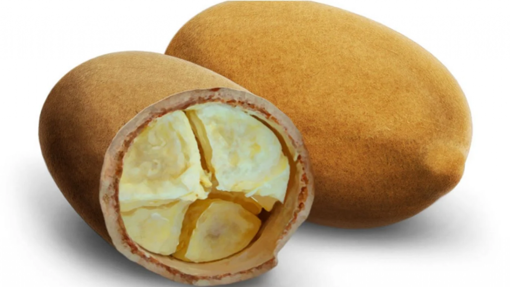 Cupuaçu é boa fonte de vitamina C e minerais; veja benefícios – Saúde ...